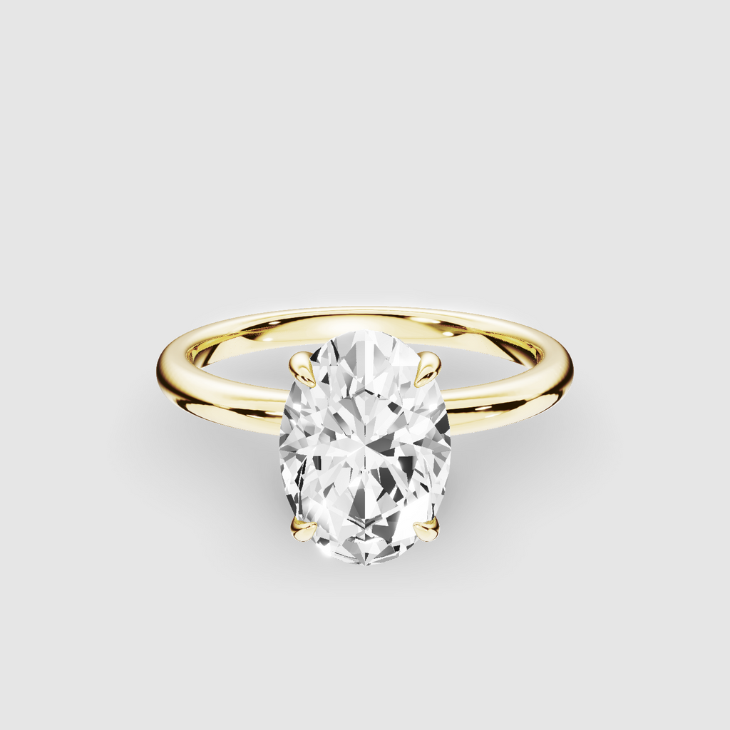 Plain Shank Solitaire Ring – REIGN Jewellery
